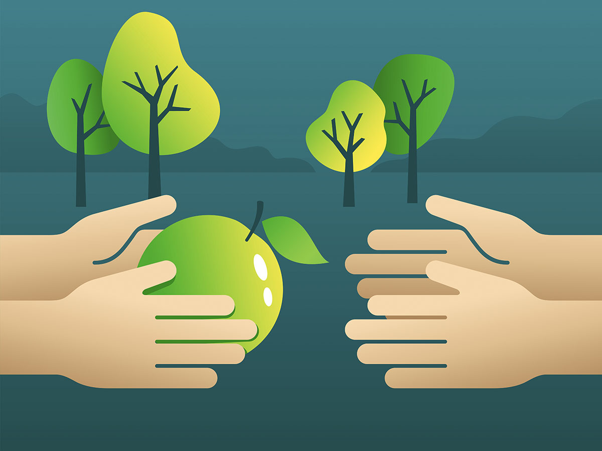 Summary of the Project - Enough